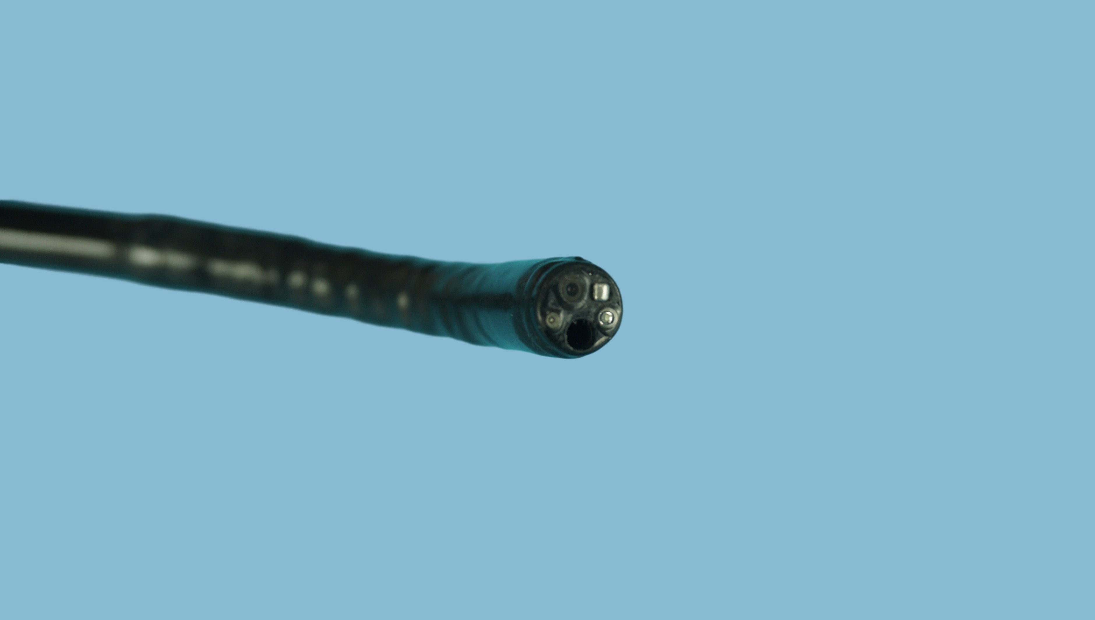GIF-V70 Veterinary Gastroscope 9.2mm Diameter Compatible With CV70 ...