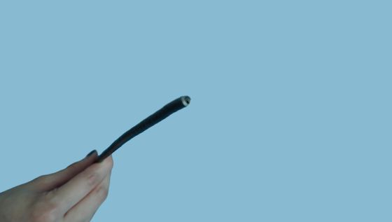 Quality Medical Endoscope & Flexible Scope factory from China