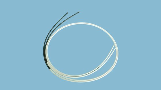 Endoscopy Biopsy Channel